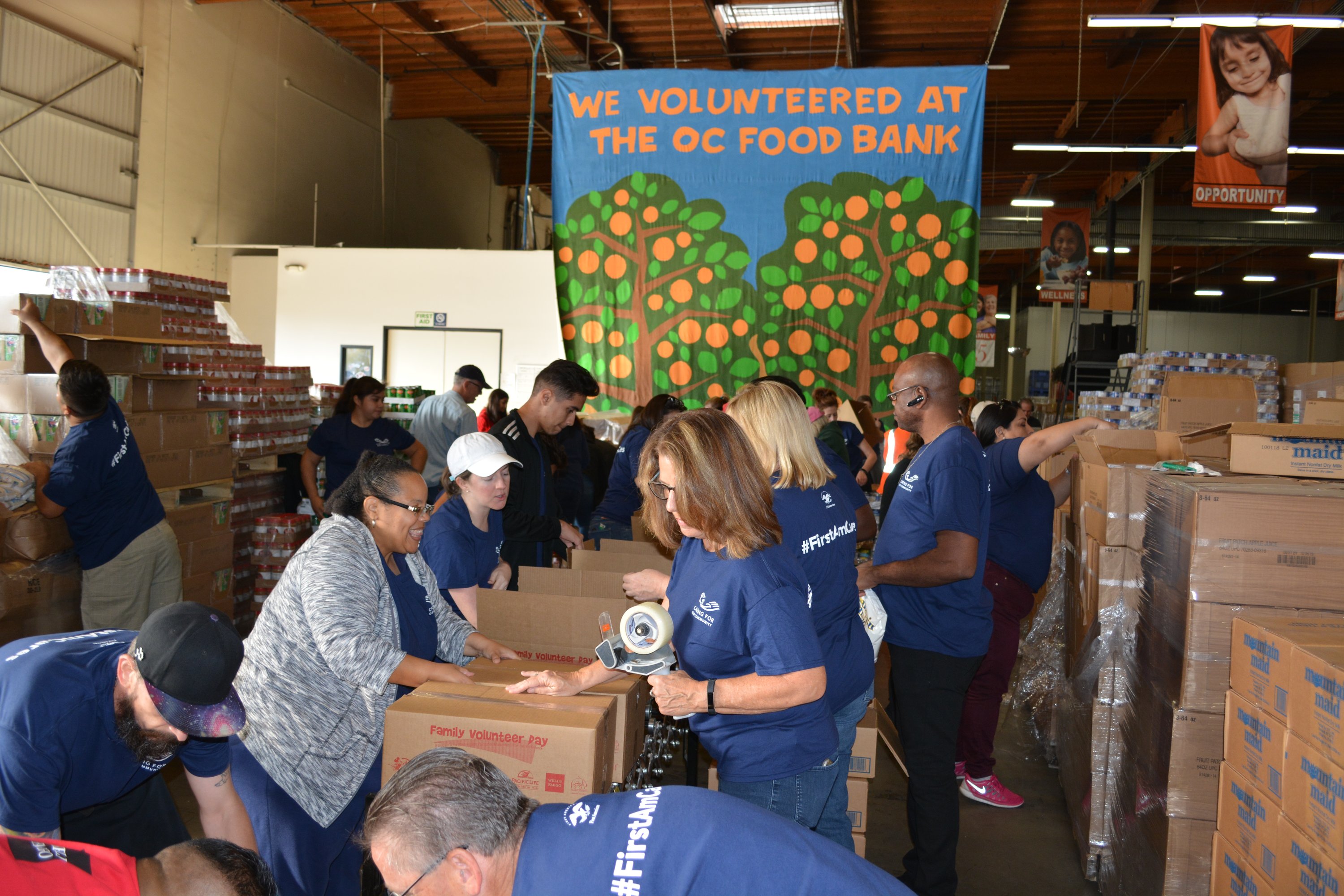 Supporting Human Services